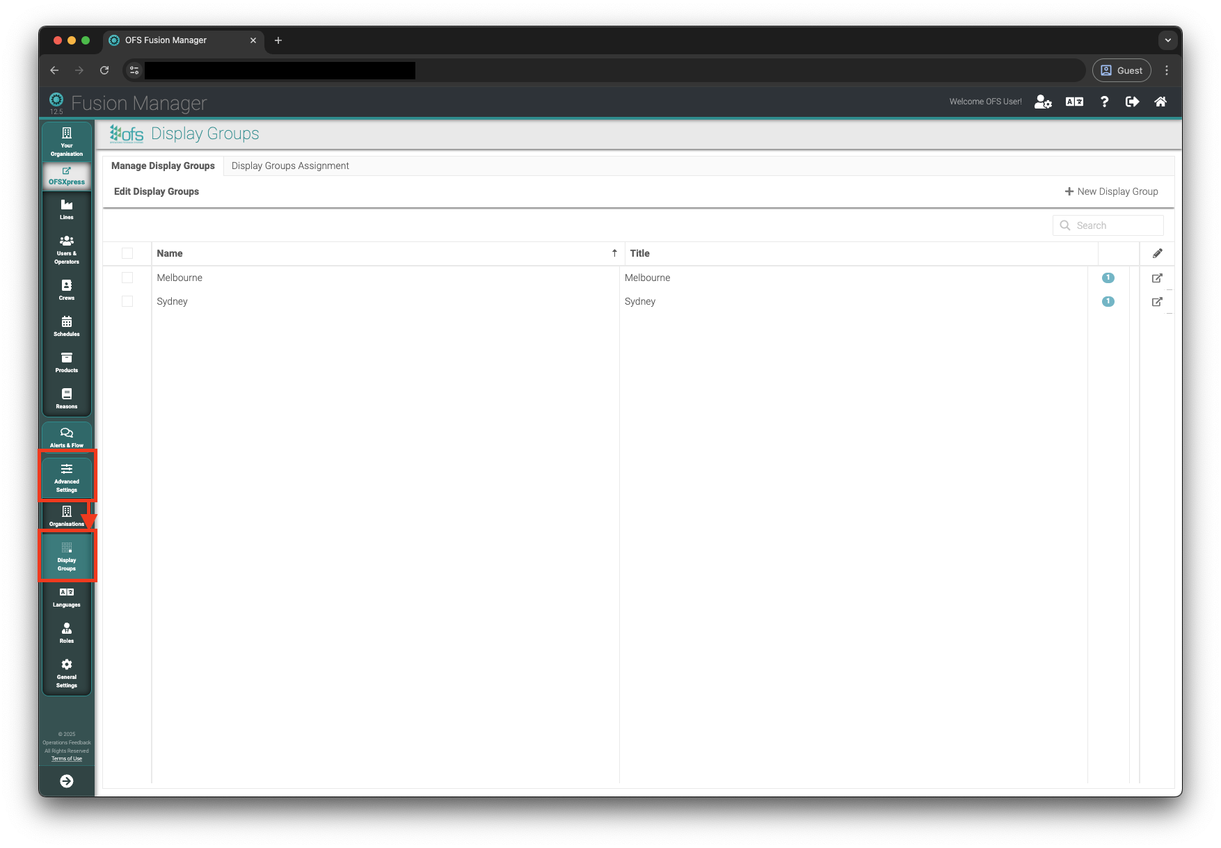 How to create new Display Groups in OFS